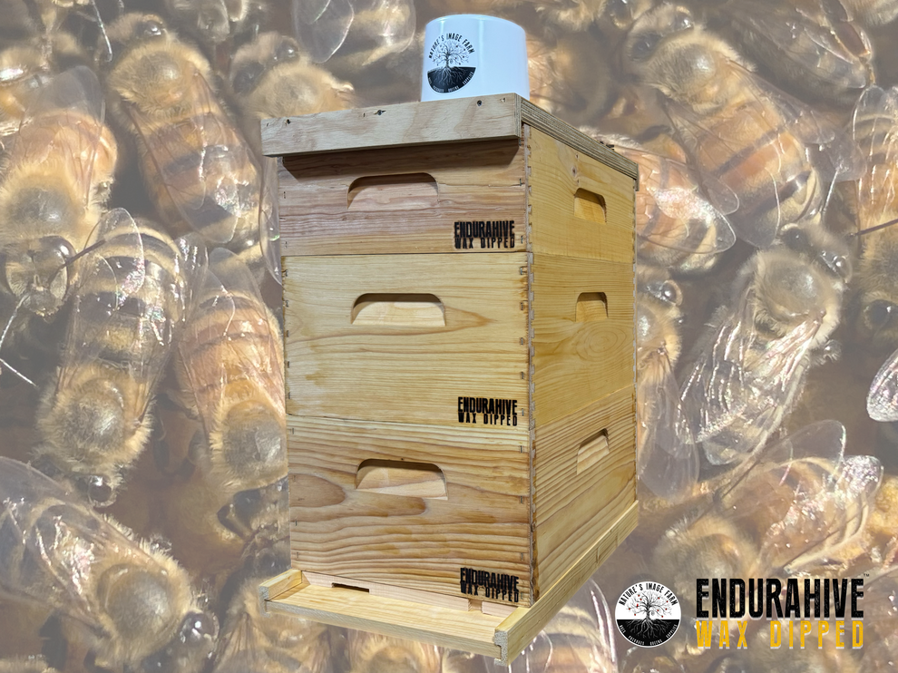 Endurahive Wax Dipped Hive Kit w Bees 2025 – Nature's Image Farm