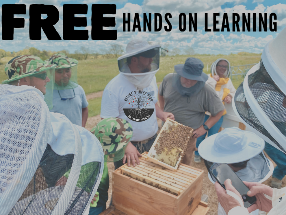 3lb Package Bees - Ohio's Package Bee Supplier – Nature's Image Farm